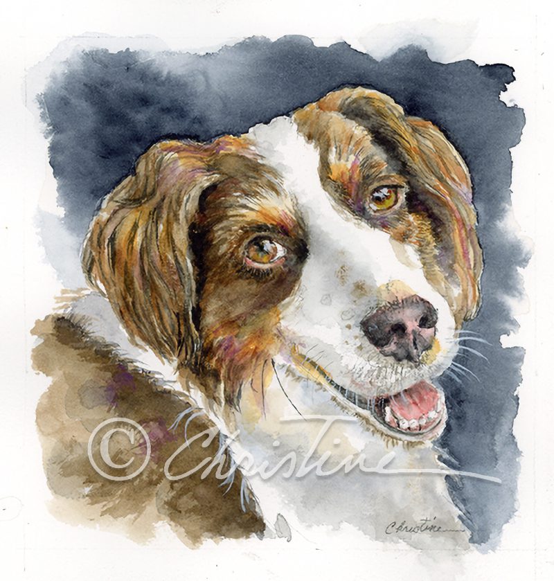 Beautifully Hand-Painted Custom Watercolor Pet Portraits