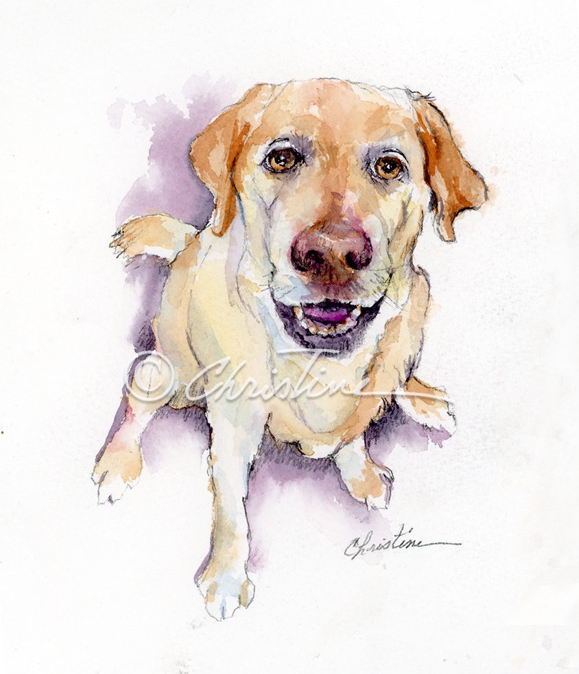 Beautifully Hand-Painted Custom Watercolor Pet Portraits
