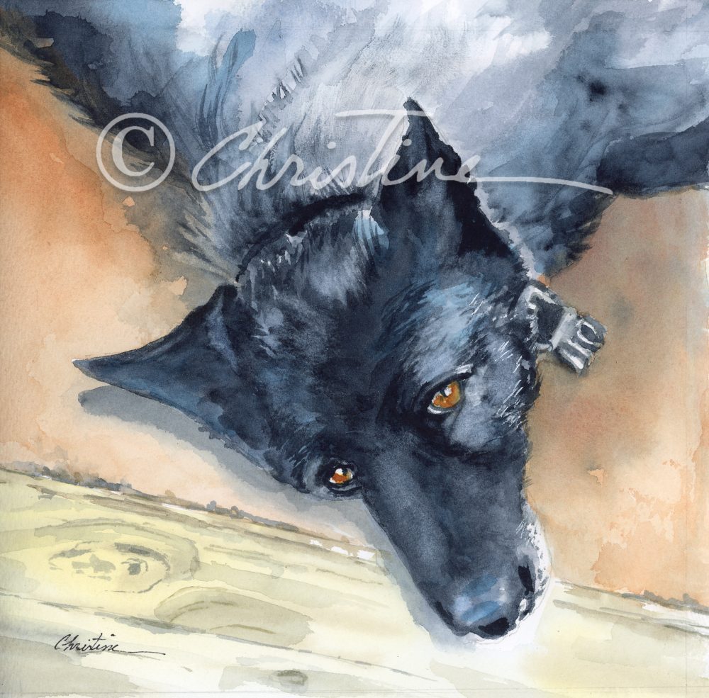 Beautifully Hand-Painted Custom Watercolor Pet Portraits